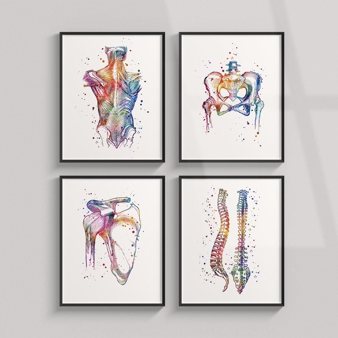 Physiotherapist Office Decor, Physiotherapy Art Watercolor Prints, Set ...