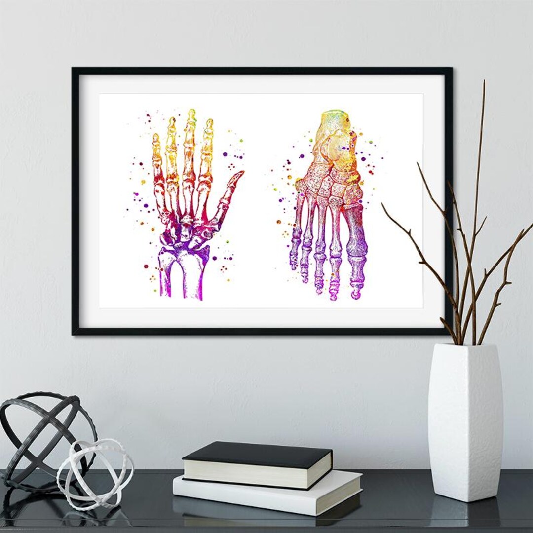 Orthopedic Surgeon Office Decor, Hand and Foot Bones Print, Anatomical ...