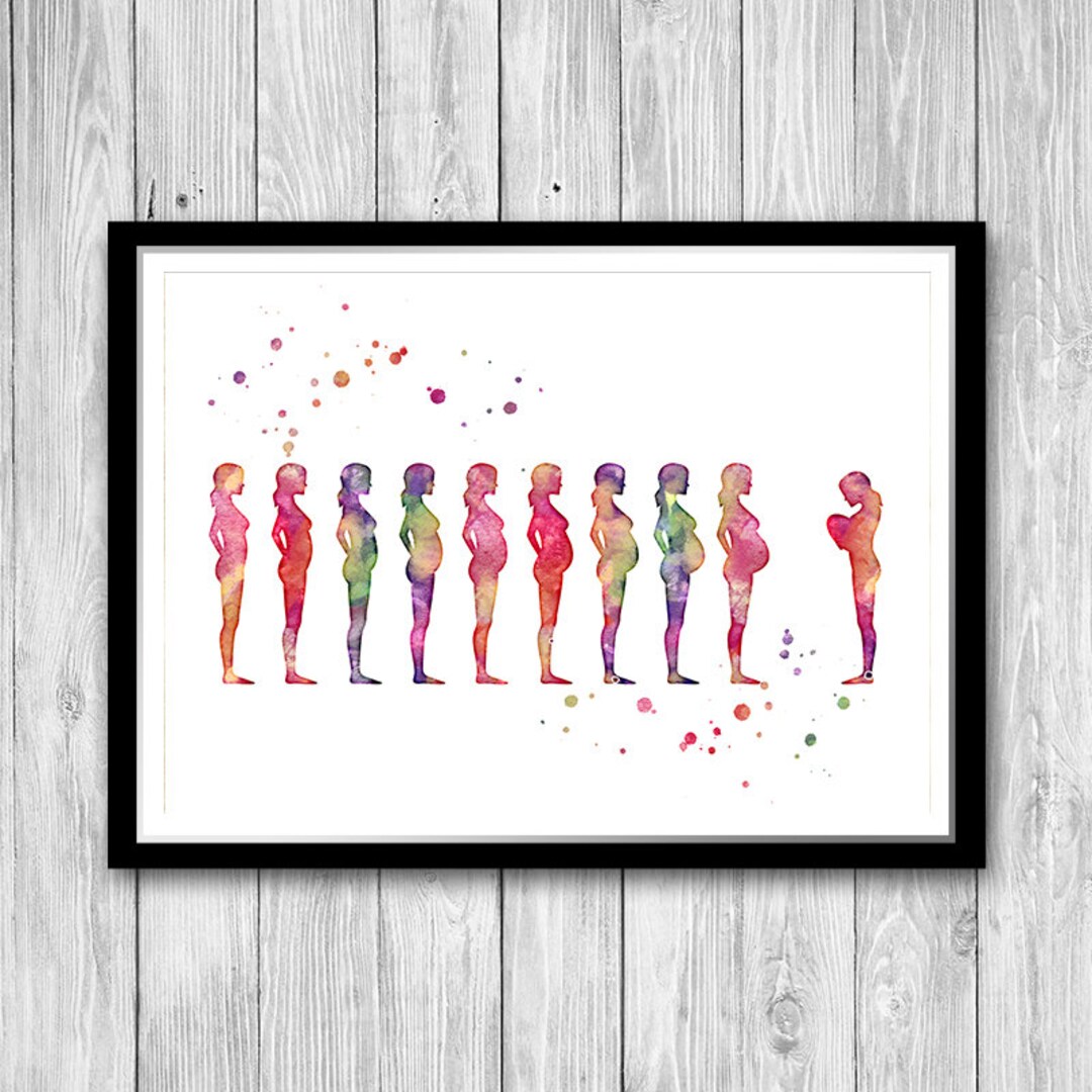 Midwife T Pregnancy Stages Watercolor Print Obstetrics And