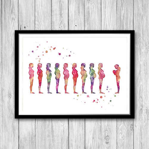 Pregnancy Art Pregnancy Stages Midwife Gift Midwife Art - Etsy