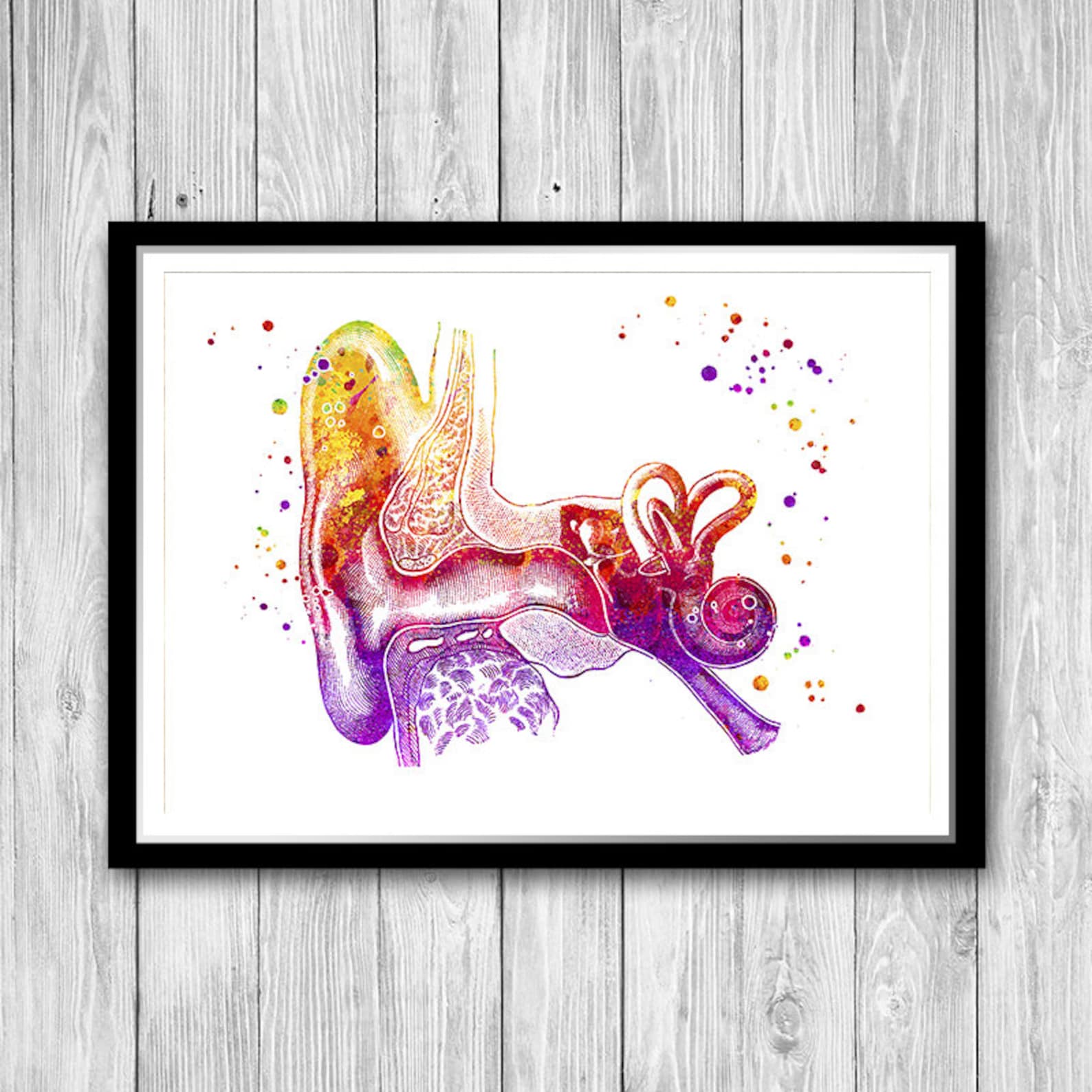 ENT Gifts ENT Art Set of 3 Medical Art Prints Ear Nose Throat | Etsy