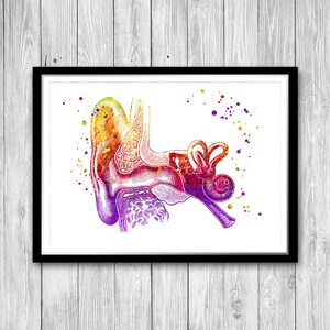 ENT Gifts, ENT Art Set of 3 Medical Art Prints Ear Nose Throat Medical ...