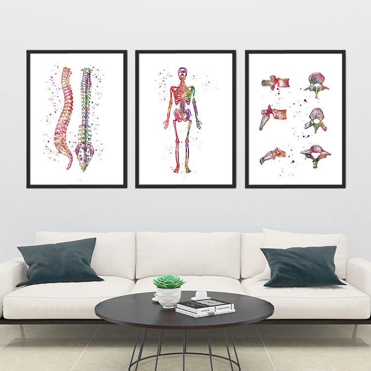 Human Anatomy Art Watercolor Spine Skeleton Vertebral Bones - Etsy
