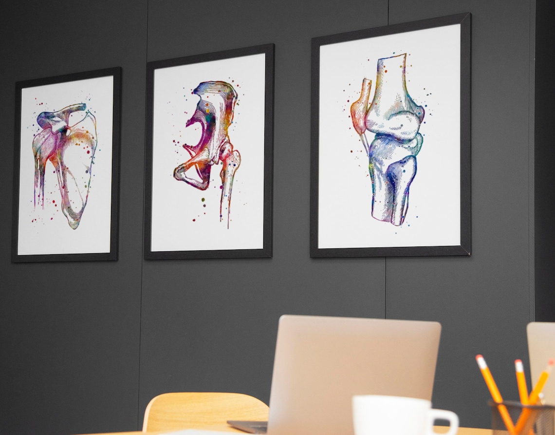 Human Anatomy Art Prints - Shoulder Hip and Knee Joint Anatomical ...