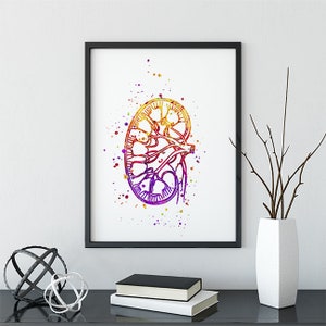 Urology Art Kidney Urinary Tract System Bladder Anatomy Art Nephrology ...
