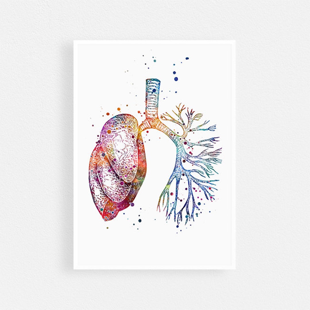 Lung Anatomy Watercolor Print, Doctor Office Decor Medical Student Gift ...