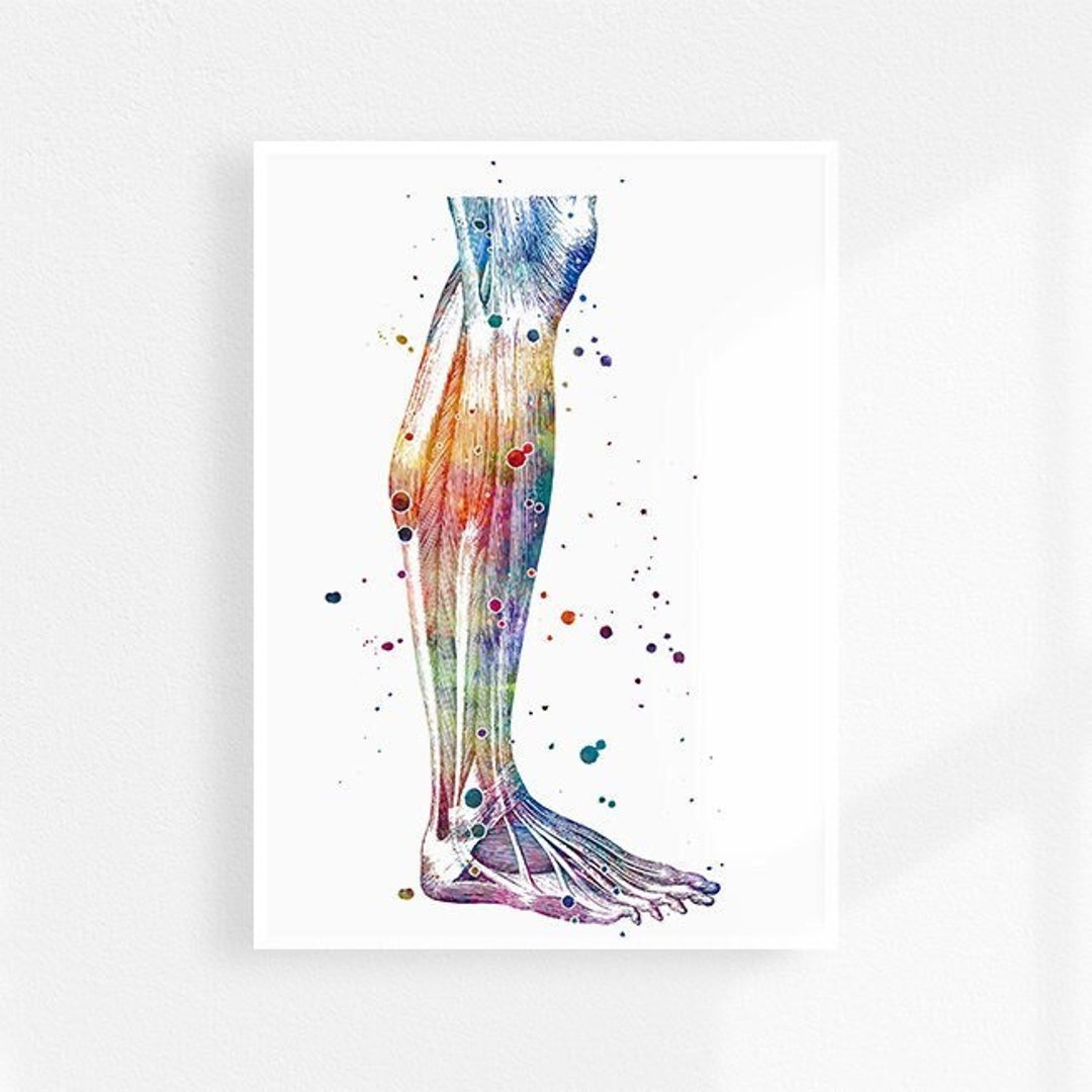 Human Leg, Anatomy Art Watercolor Print Knee Ankle and Foot Medical ...