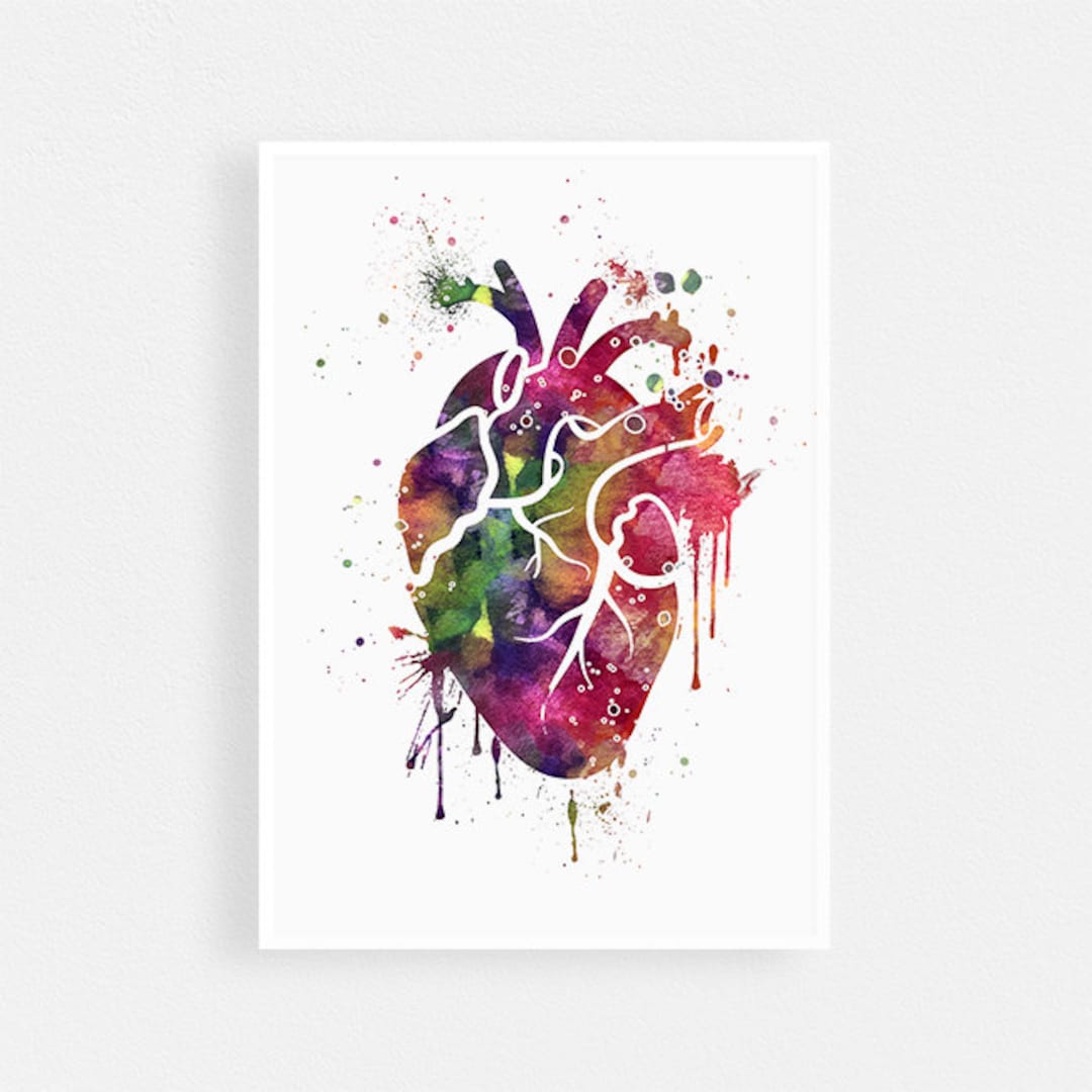 Human Heart Watercolor Print, School Nurse Office Decor, Cardiologist ...