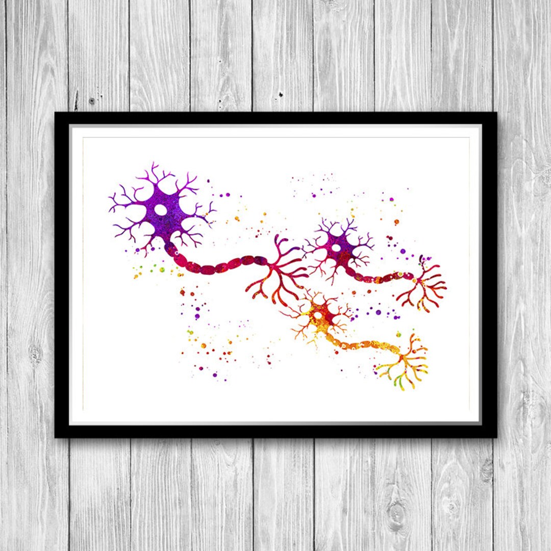 Neuroscience Art Connexion of Neurons Nerve Impulse Watercolor Art ...