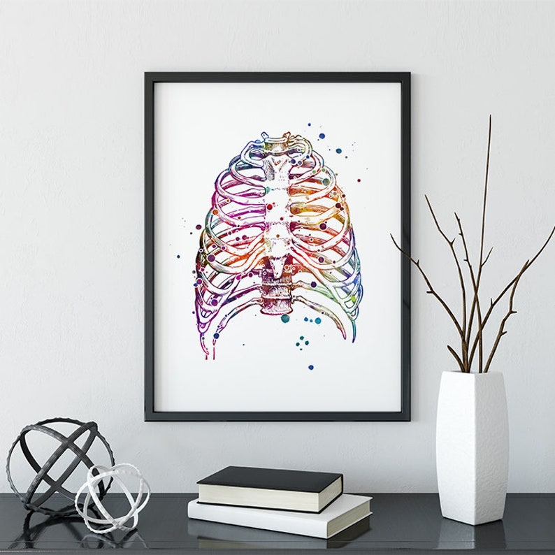Thorax Watercolor Print Human Chest Anatomy Art Doctor Office - Etsy