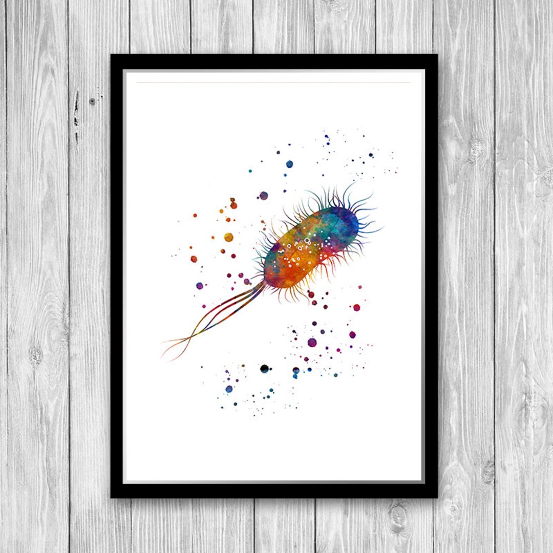 E Coli Watercolor Print Microbiology Art Bacteria Wall Art ...