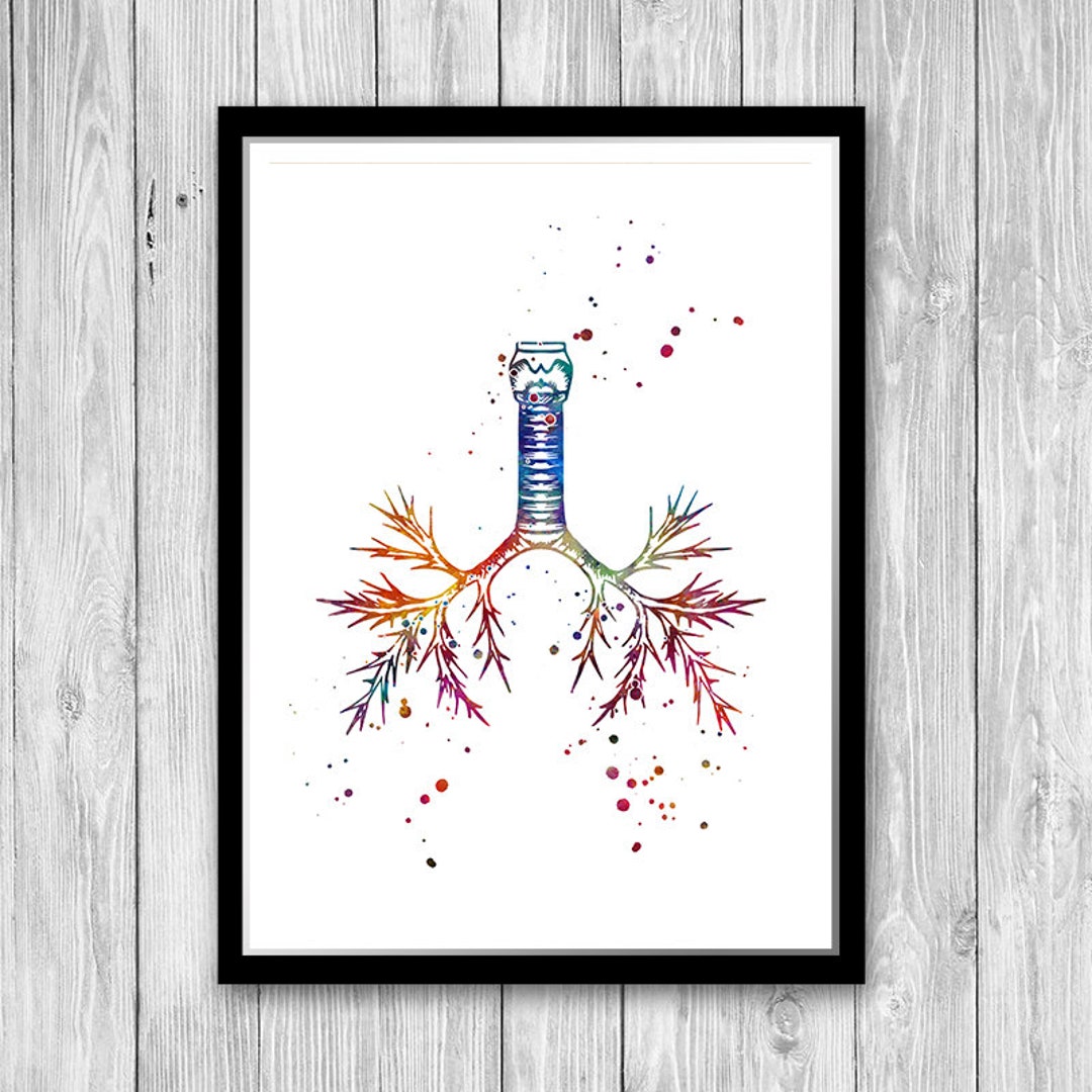 Trachea Windpipe Anatomy Art Watercolor Print Doctor Office Decor ...