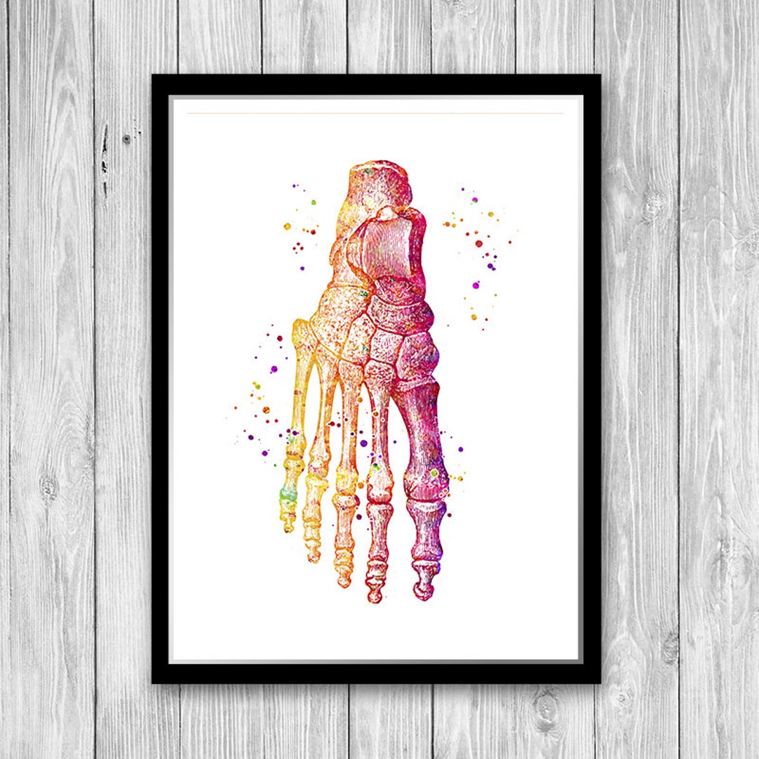 Human Foot Bones Skeleton Anatomy Art Print Orthopedic Surgeon Gift ...