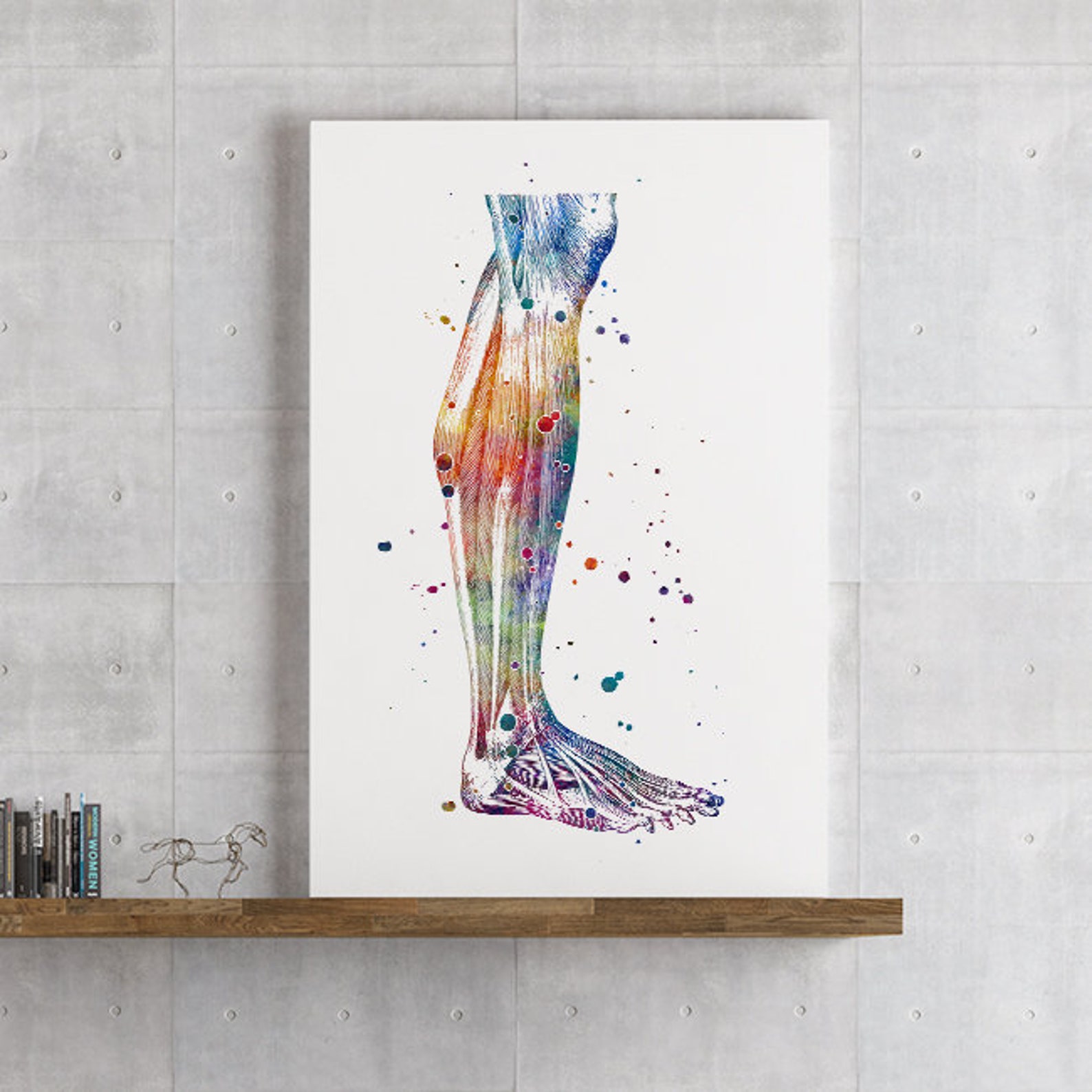 Human Leg Anatomy Art Watercolor Print Knee Ankle and Foot | Etsy