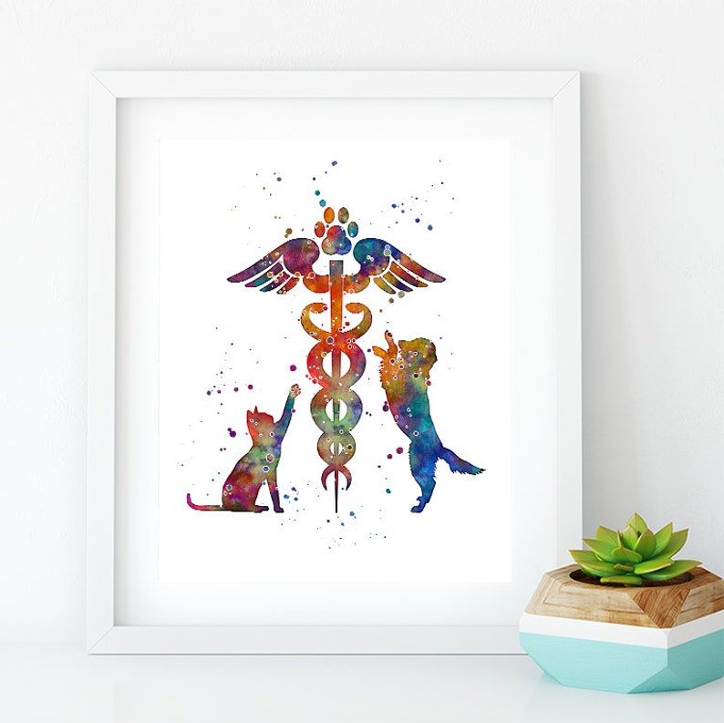 Veterinary Caduceus Art Watercolor Print, Vet Tech Art Gift, Doctor of ...
