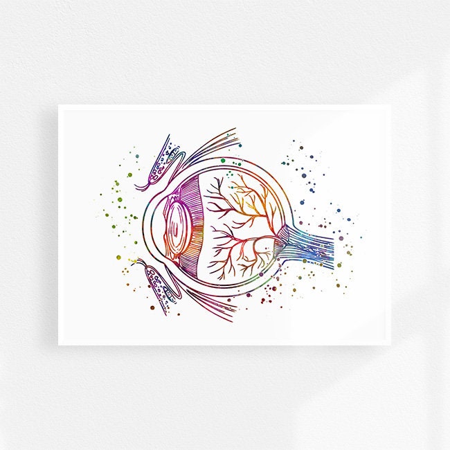 Ophthalmologist Gift, Ophthalmology Art Set of 4 Prints, Optometry Art ...