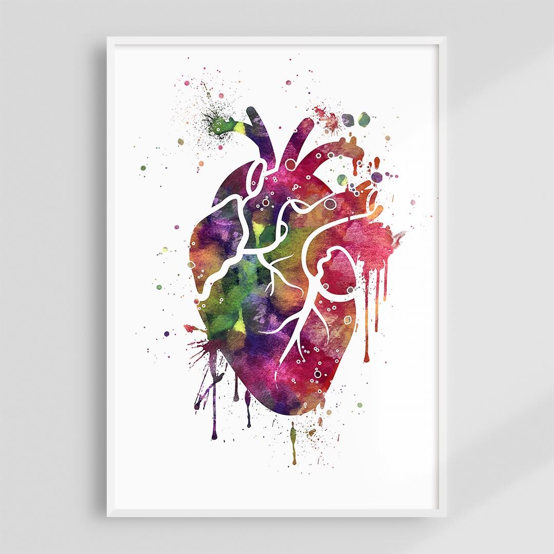 Human Heart Watercolor Print, Medical Office Wall Art, Healthcare ...