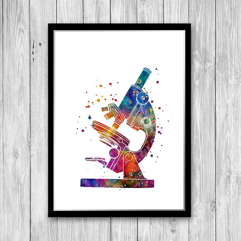 Microbiology Poster - Etsy