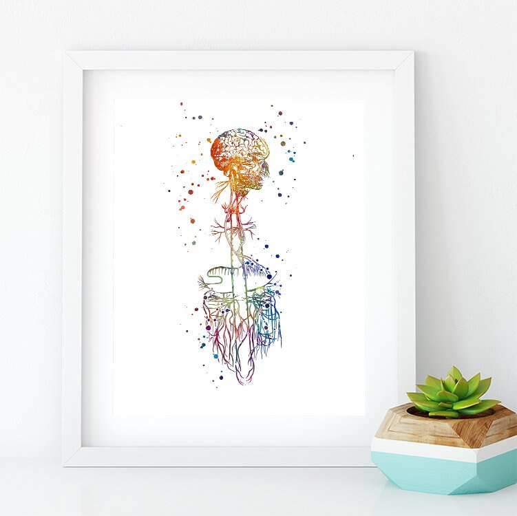 Vagus Nerve Watercolor Art Print Anatomy Art Neurologist and | Etsy UK