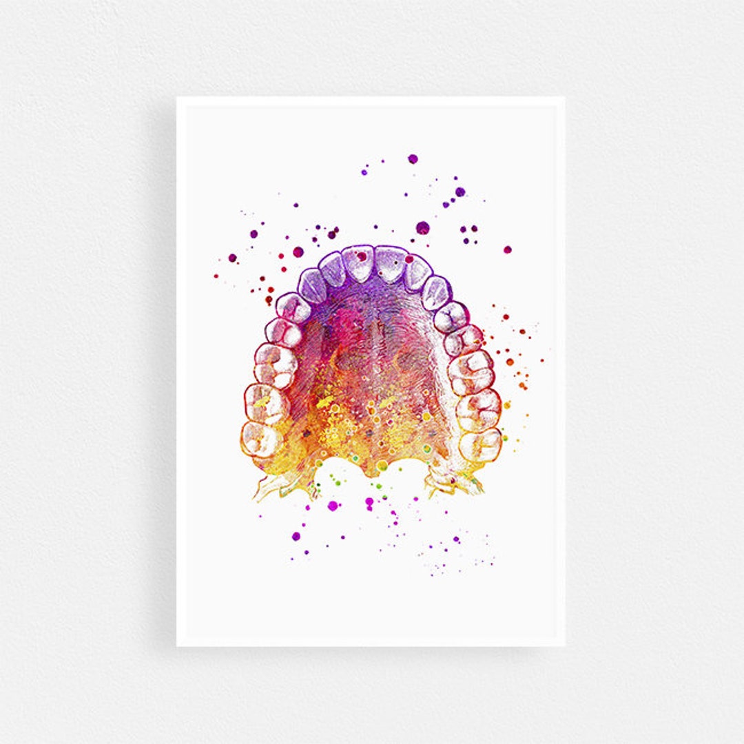 Human Upper Teeth and Palate Watercolor Art Print | Gift for ...