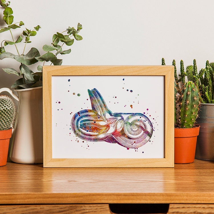 Inner Ear Watercolor Print Ear Nose Throat Anatomy Art ENT | Etsy