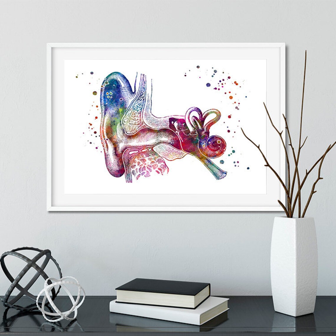 Audiology Art Audiologist Gift Human Ear Anatomy Watercolor - Etsy