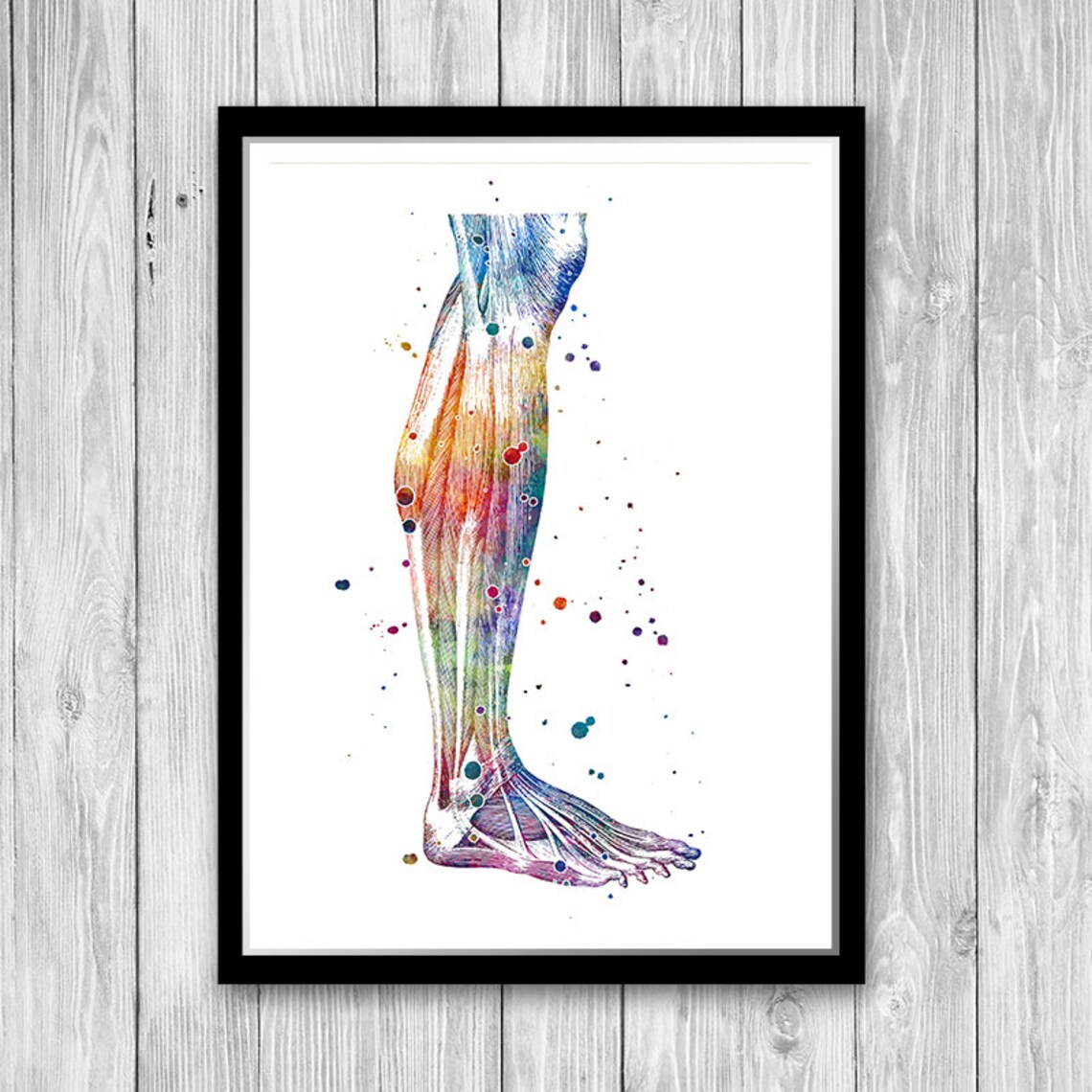 Human Leg Anatomy Art Watercolor Print Knee Ankle and Foot | Etsy