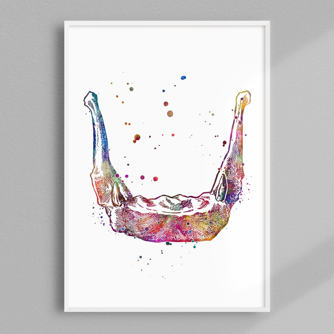 Hyoid Bone Print, Sleep Doctor Office Decor, Multicolored Watercolor ...