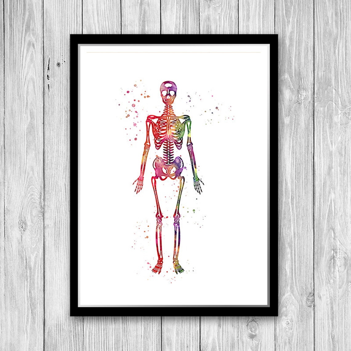 Human Anatomy Art Spine Skeleton Brain Watercolor Prints - Etsy
