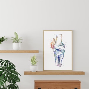 Knee Joint Anatomy Art Watercolor Print - Orthopedic Surgeon Gift ...
