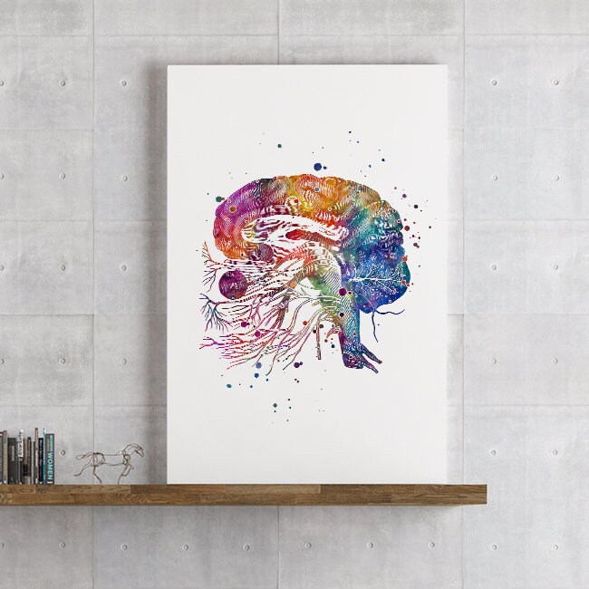 Neuroscience Art Brain Cranial Nerves Anatomy Poster | Etsy