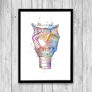 Larynx Anatomy Art Print for Doctor Slp Office Decor, Anatomical ...