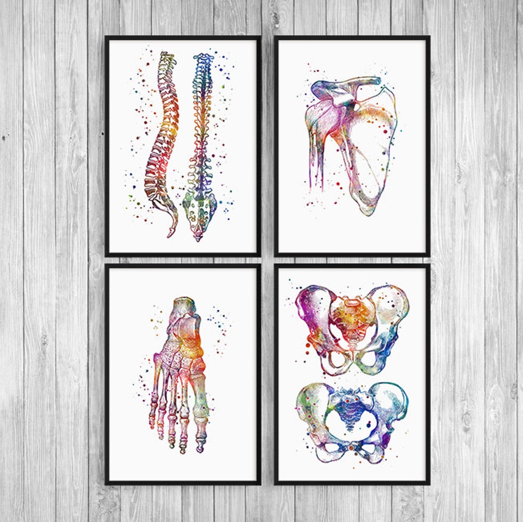 Physiotherapist Office Decor - Anatomy Art Watercolor Prints - Gifts ...