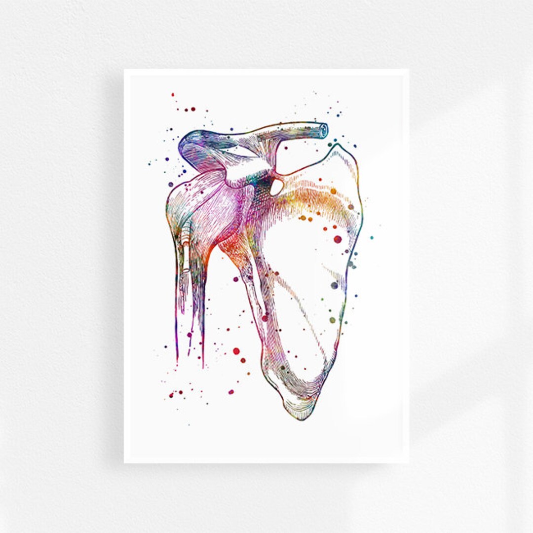 Shoulder Joint Print, Physiotherapist Gift, Orthopedic Surgeon Office ...