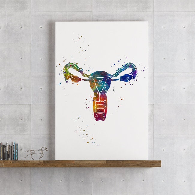 Uterus Anatomy Art Watercolor Print Female Reproductive System Etsy