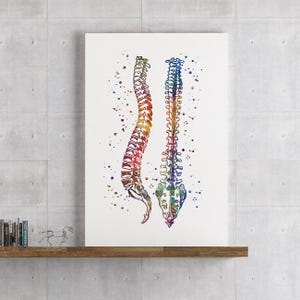 Physical Therapy Art, Set of 3 Watercolor Medical Posters, Chiropractic ...
