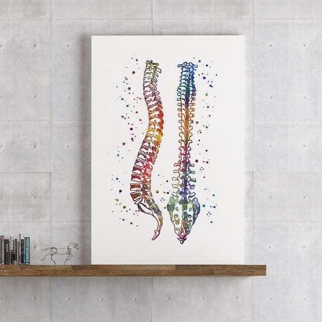 Physical Therapy Art, Set of 3 Watercolor Medical Posters, Chiropractic ...