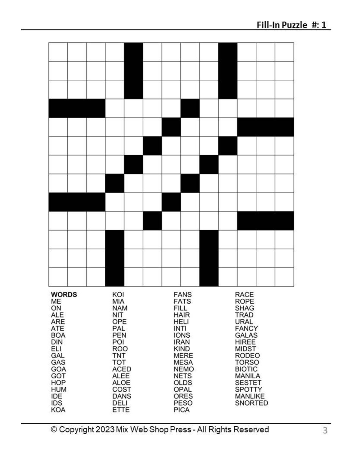 Word Fill-in Puzzle Book for Adults, 100 Large Print Games (digital ...