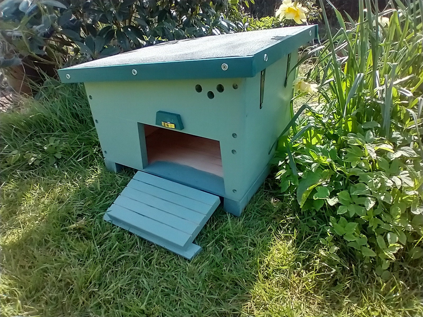 Tortoise House/lodge - Etsy UK