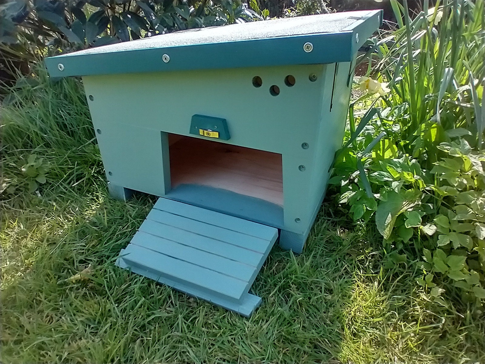 Tortoise House/lodge - Etsy UK