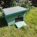 Tortoise House/lodge - Etsy UK