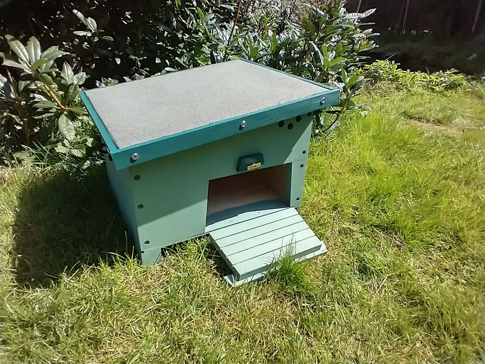 Tortoise House/lodge - Etsy UK