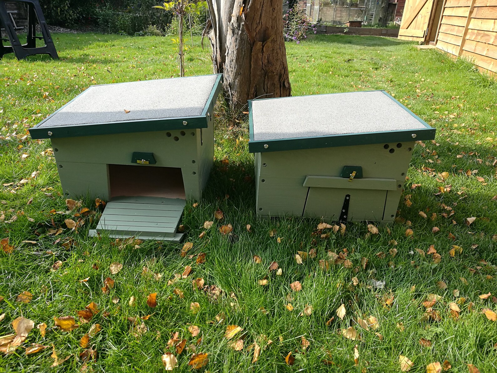 Tortoise house/Lodge | Etsy