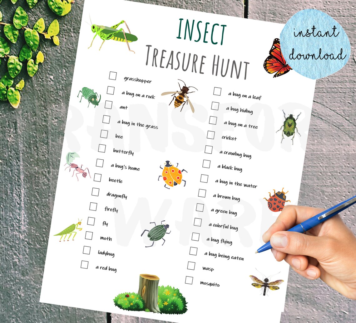 Buy Insect Treasure Hunt for Kids | Outdoor Scavenger Hunt Game | I Spy ...