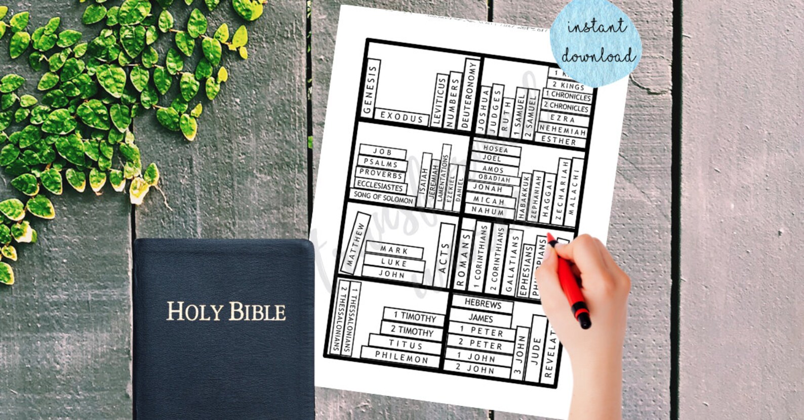 Books of the Bible Bookcase Tracker Coloring Page Books of the Bible ...