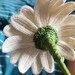 Large Daisy Pattern | Crochet | Flower | Wedding | Bouquet | Handmade ...