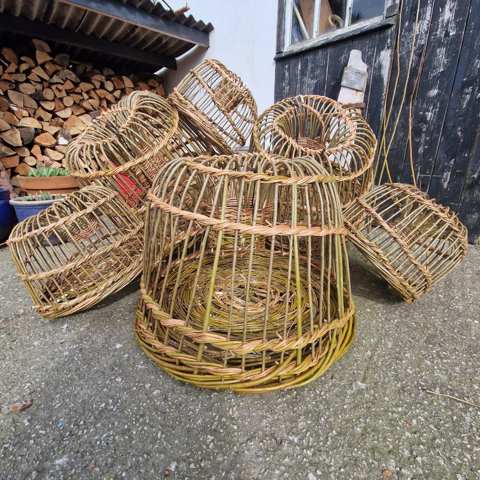 Cornish Lobster Pot Crab Pot Traditionally Handmade Willow - Etsy UK