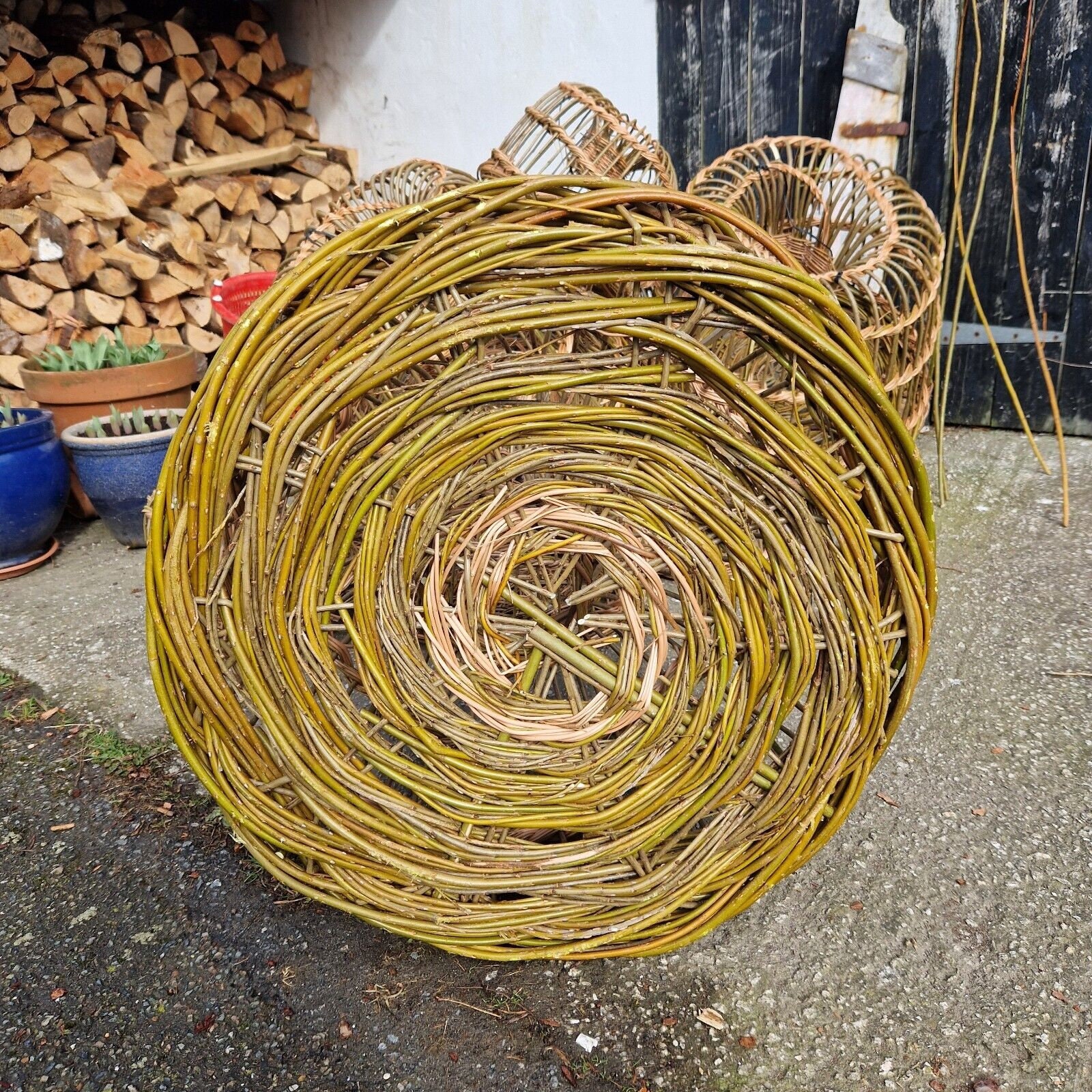Cornish Lobster Pot Crab Pot Traditionally Handmade Willow - Etsy UK