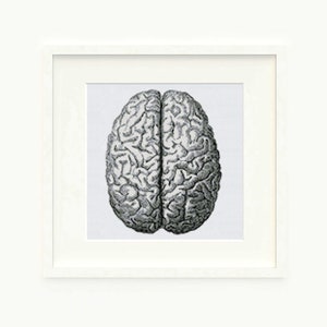 Anatomical Brain Cross Stitch Pattern PDF, Anatomy Cross Stitch ...