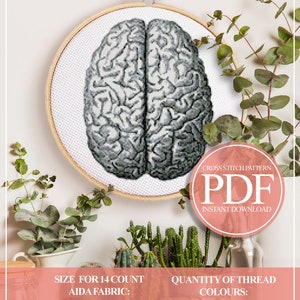 Anatomical Brain Cross Stitch Pattern PDF, Anatomy Cross Stitch ...
